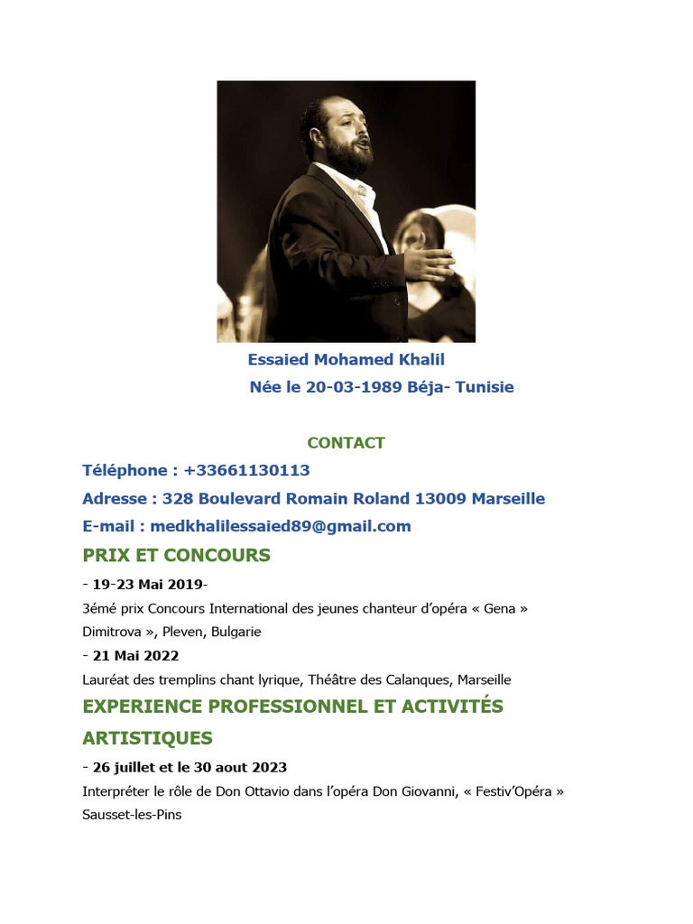 CV Khalil Audition-24 | PDF