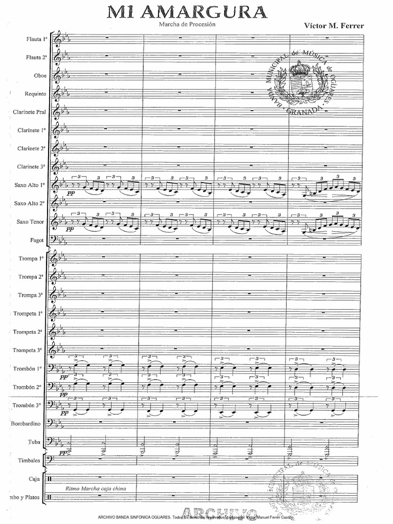 Mi Amargura - Victor Ferrer | PDF | Las artes escénicas | Músicos
