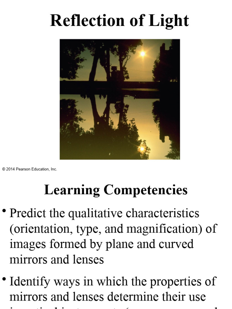 Reflection of Light and Mirrors | PDF | Mirror | Reflection (Physics)