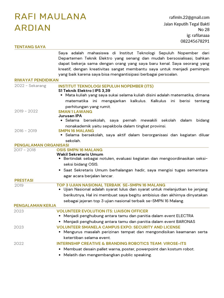 CV - Rafi Maulana Ardian | PDF