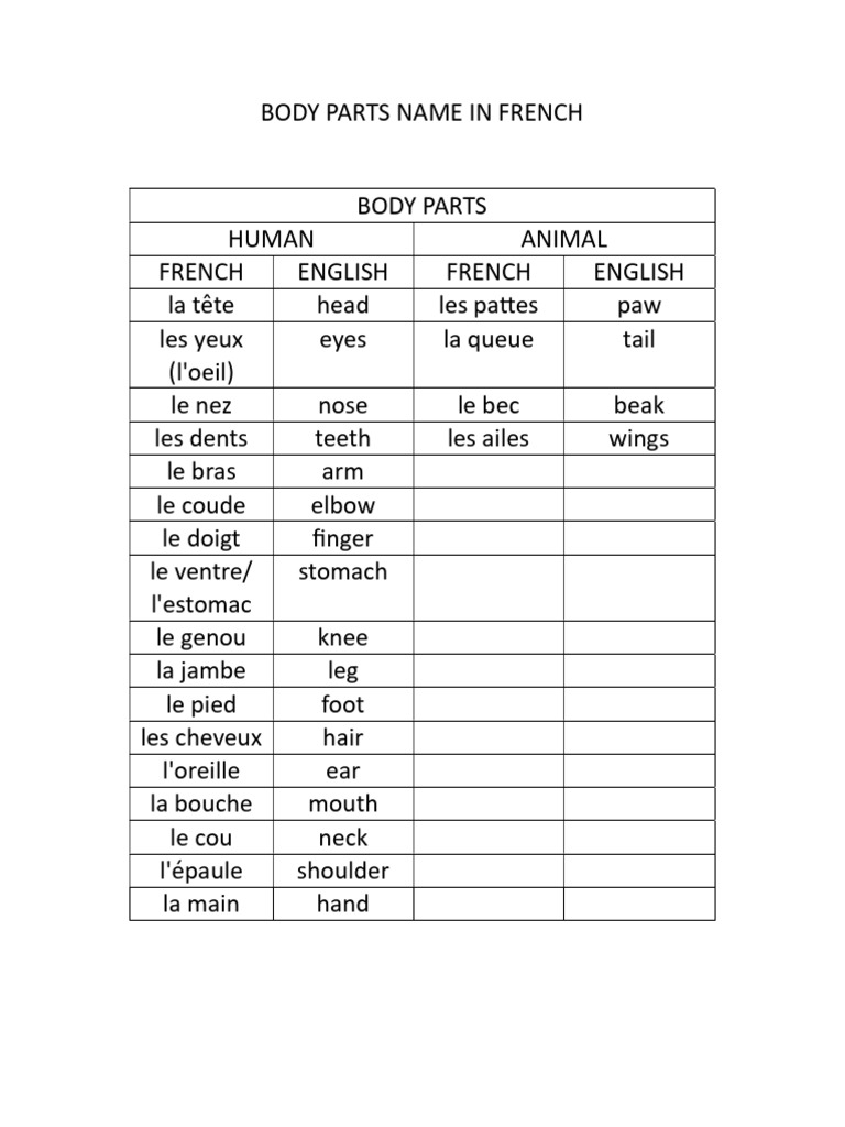 Body Parts Name in French | PDF