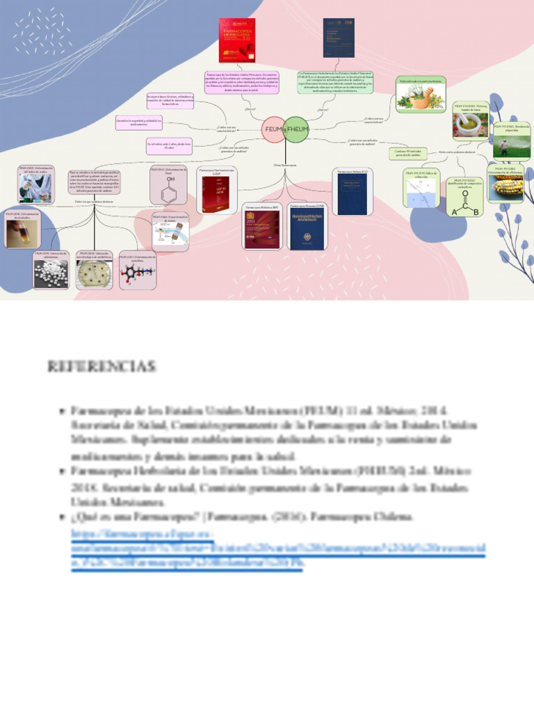 Mapa Mental de La FEUM Y FHEUM (1) - 2-3 | PDF | Medicamentos con ...