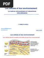 Types de jonctions cellulaires expliqués | PDF | Biologie cellulaire ...