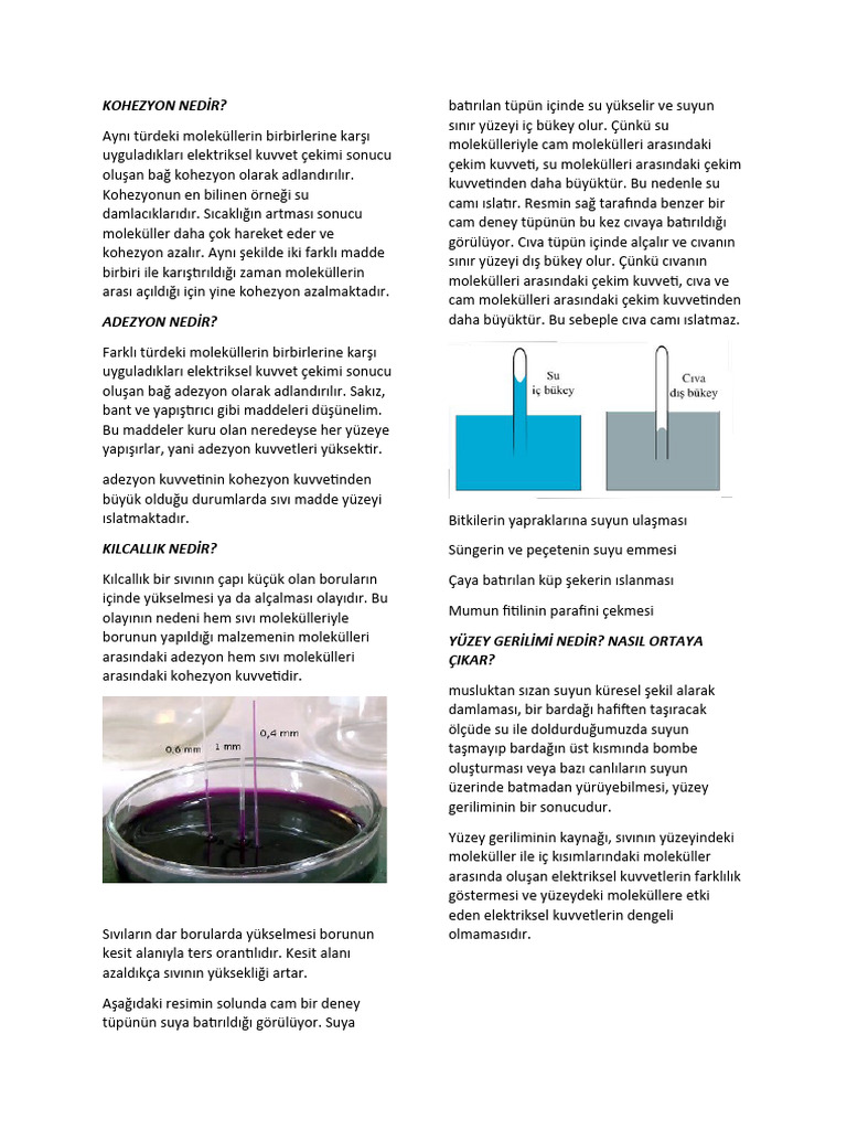 Adezyon Kohezyon | PDF