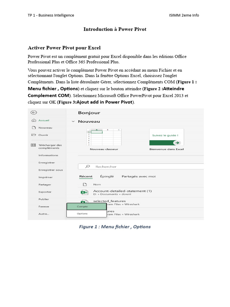 TP Introduction À Power Pivot | PDF