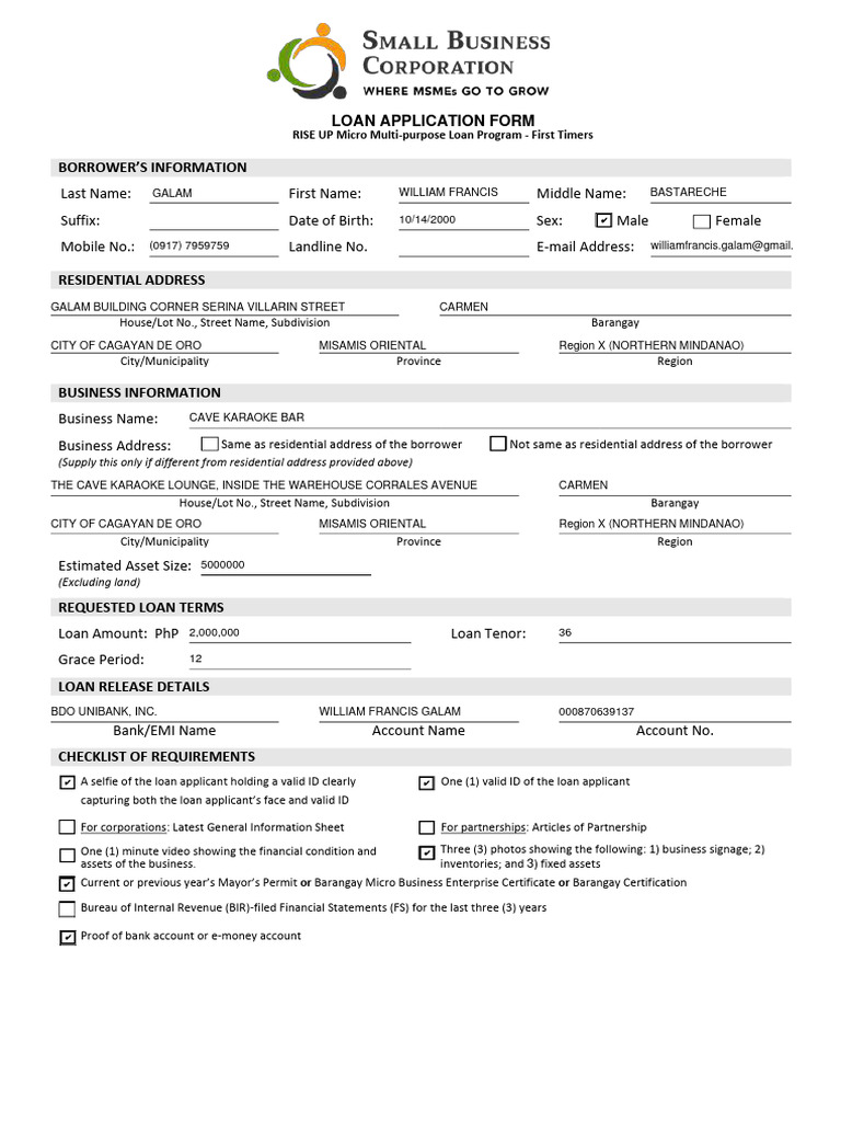 SBC Application Form | PDF | Loans | Business