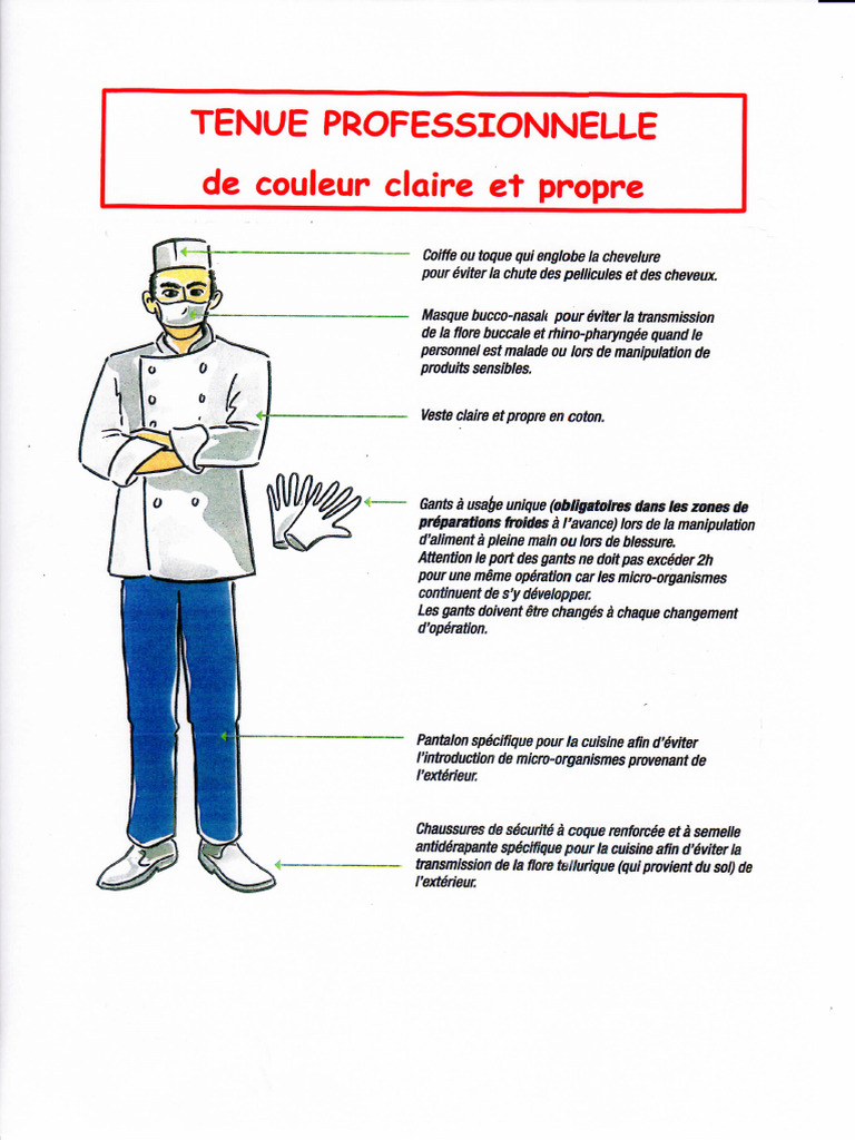 1.tenue Professionnelle | PDF
