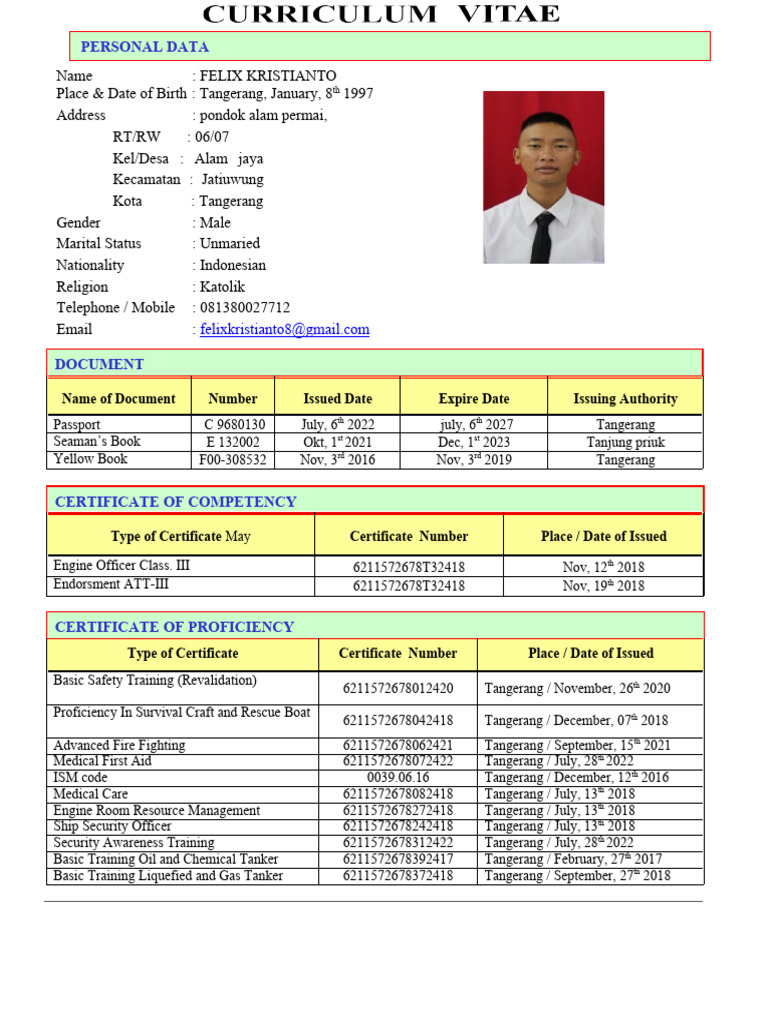 Personal Data: Name of Document Number Issued Date Expire Date Issuing Authority | PDF ...