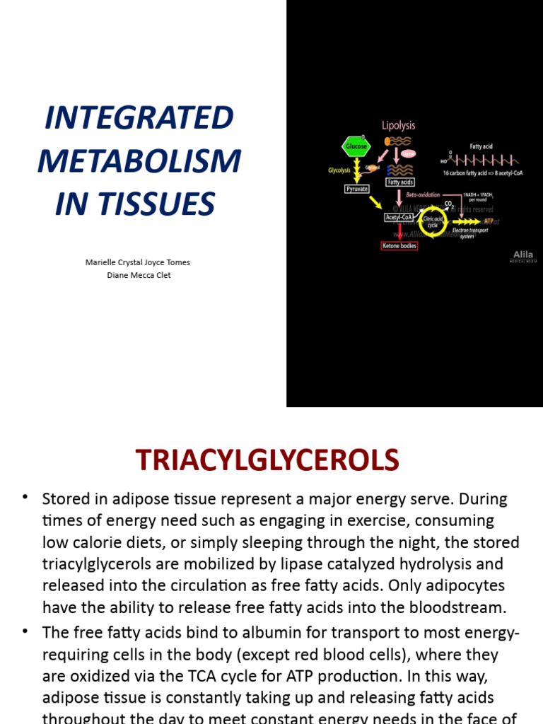 Integrated Metabolism in Tissues | PDF