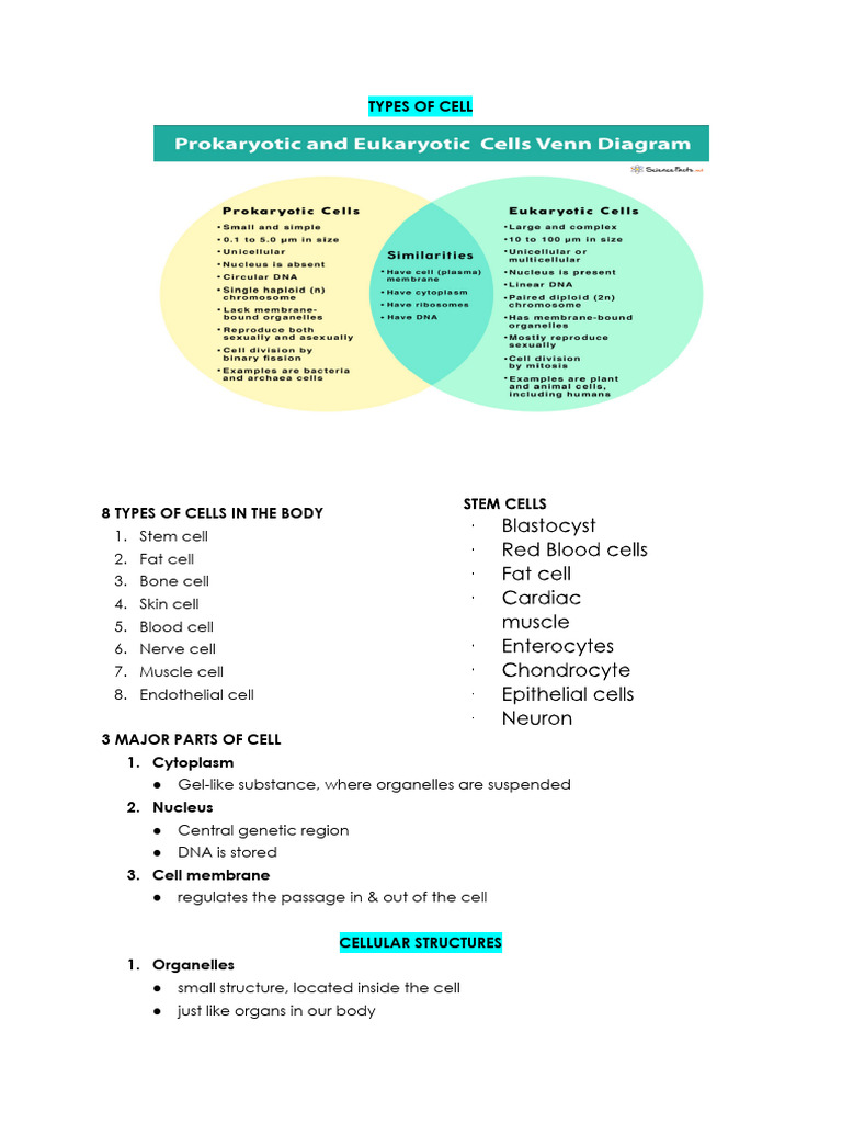 GEN BIO Reviewer | PDF
