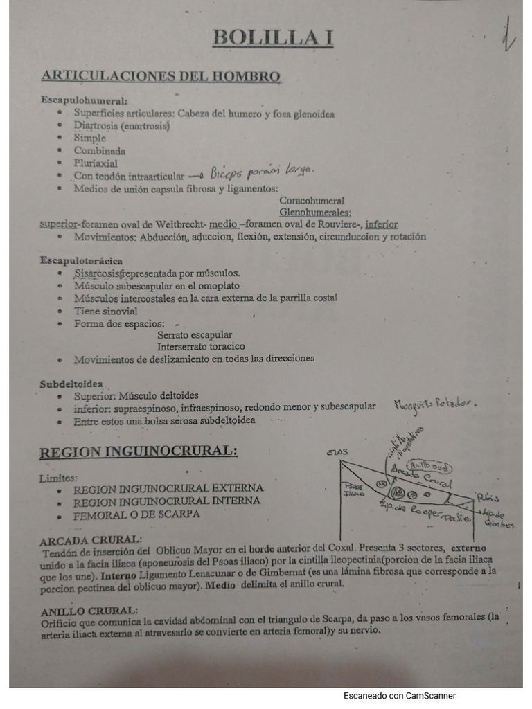 Bolillero Anato | PDF