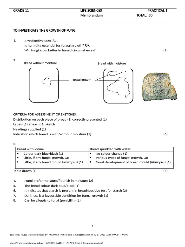 GRADE 11 PRACTICAL 1 Memorandum | PDF | Fungus | Mold