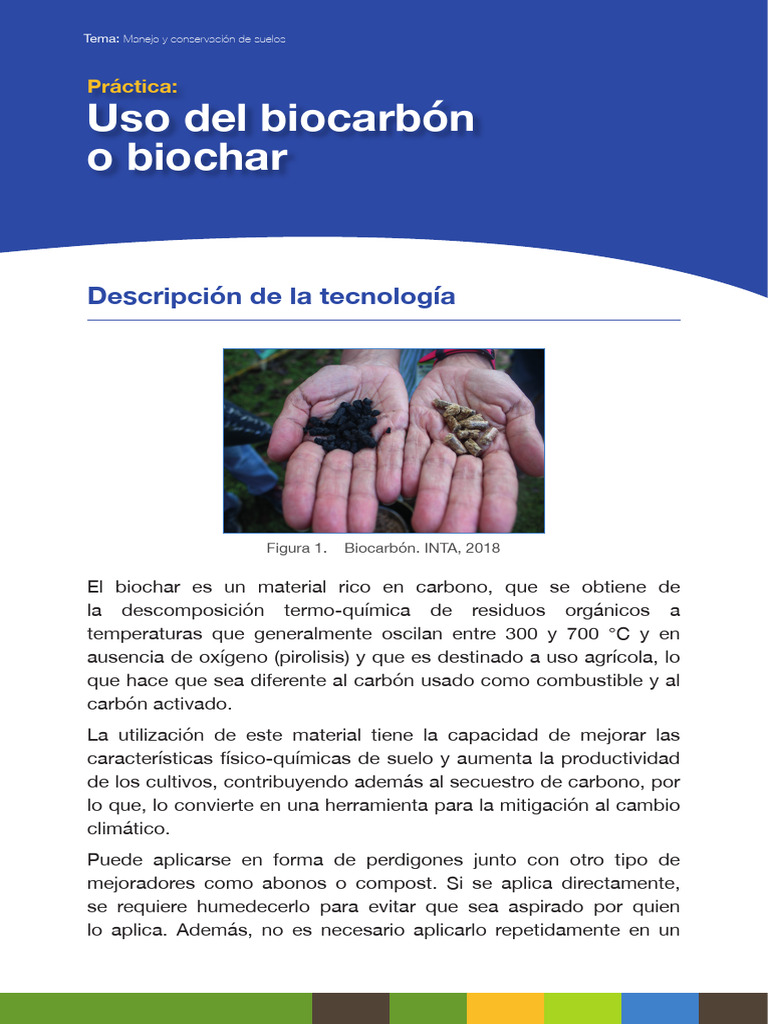 03 Uso Del Biocarbon 1 | PDF | Pirólisis | Entorno natural