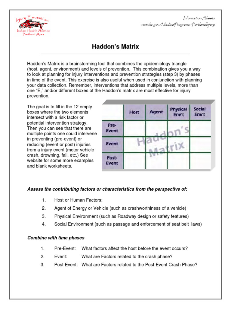 Haddon Matrix Basics | Download Free PDF | Injury | Seat Belt