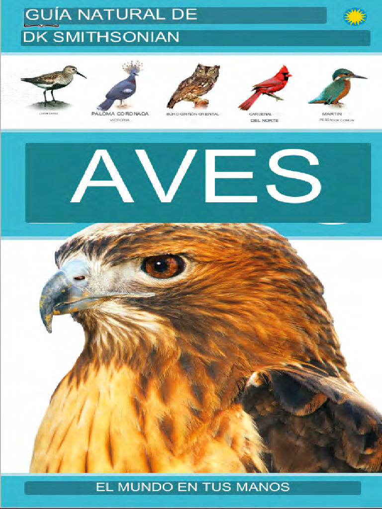 2-Es-Guía de La Naturaleza - Aves | PDF | Aves | Ala