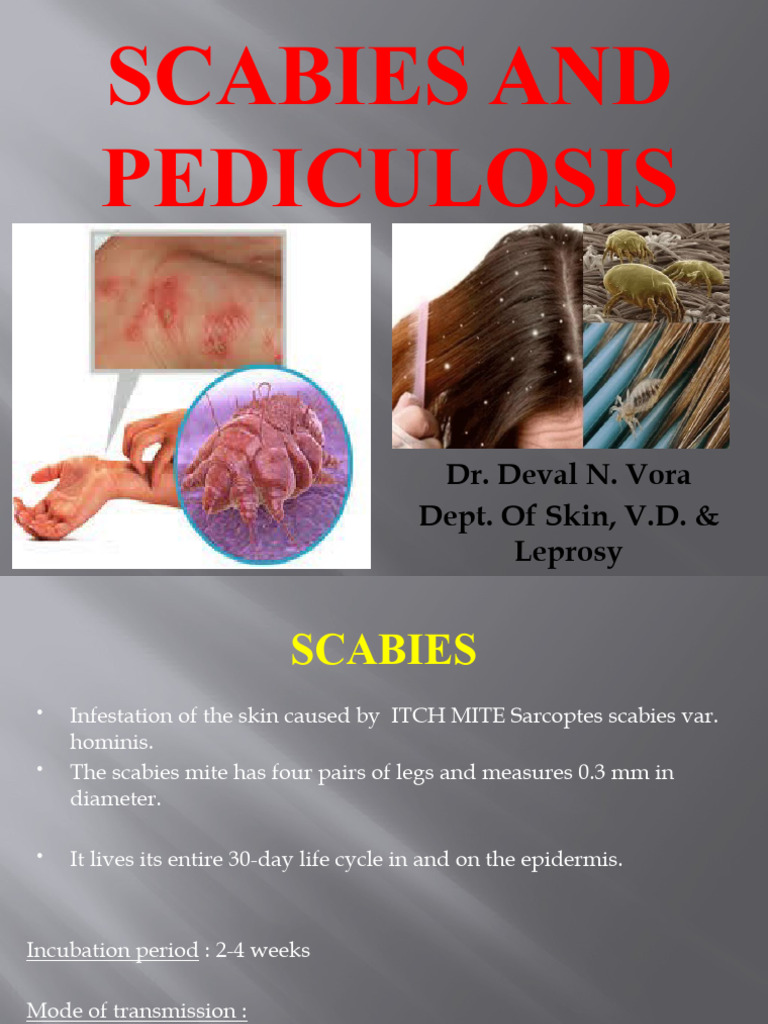 Scabies and Pediculosis | PDF | Diseases And Disorders | Medical Specialties
