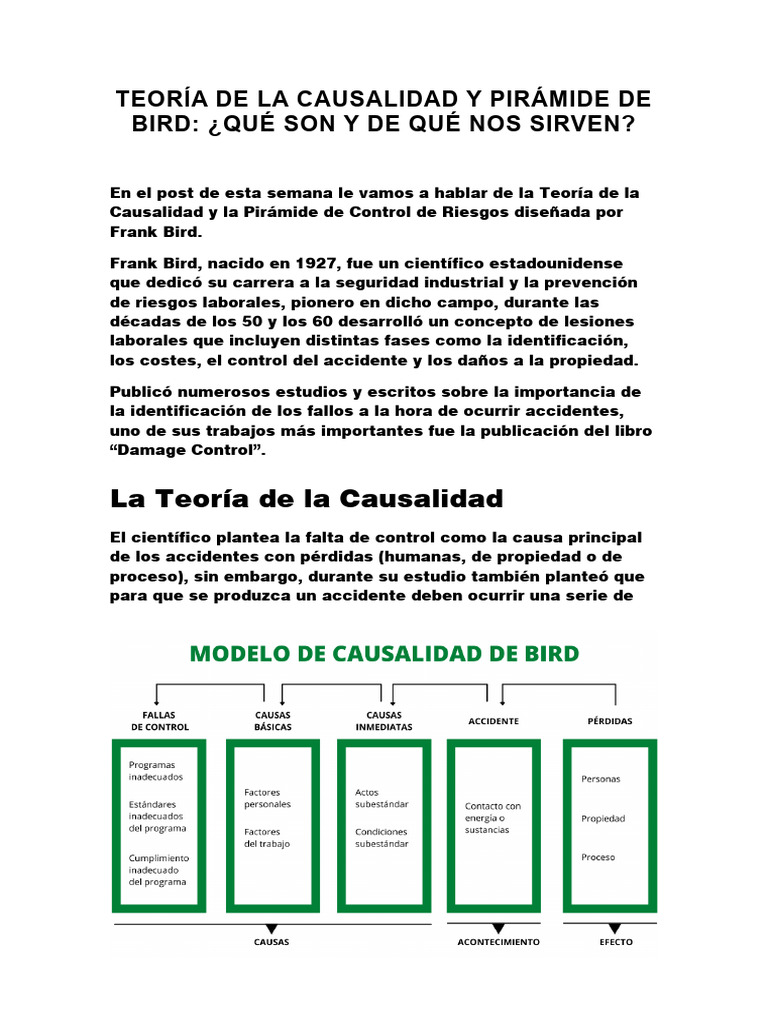 Teoría de La Causalidad y Pirámide de Bird | PDF