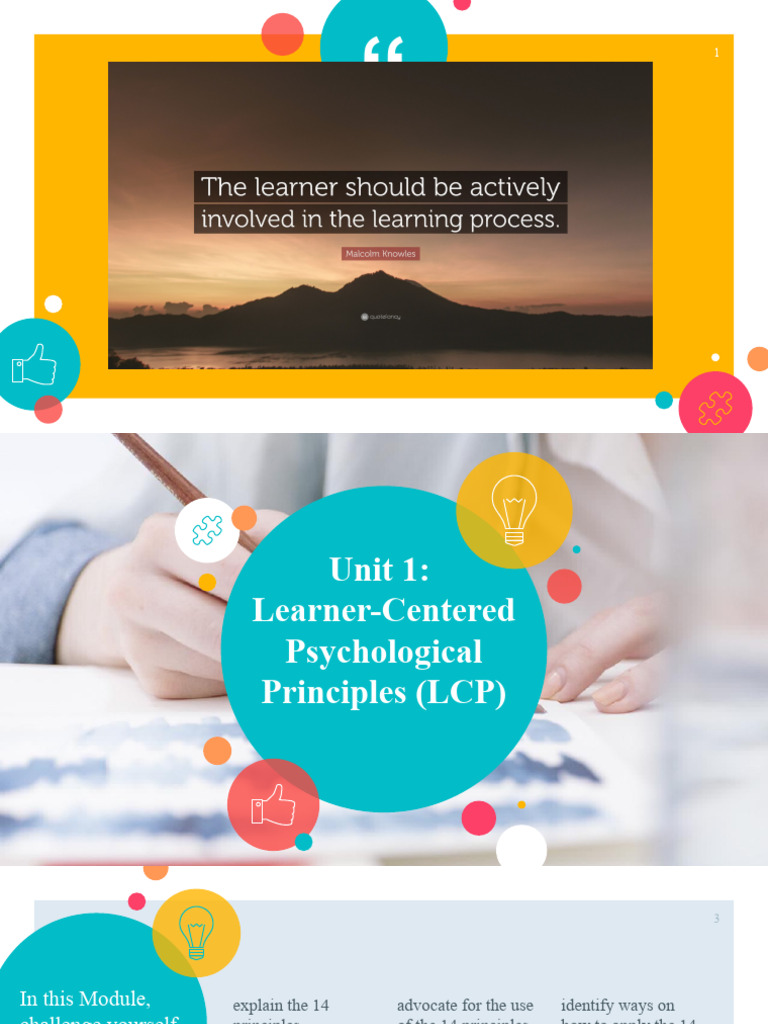 Learner Centered Psychological Principles | PDF | Learning | Metacognition