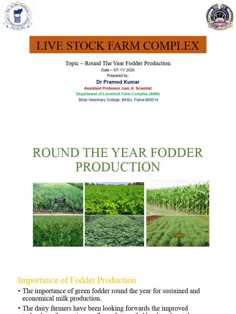 Round The Year Fodder Production | PDF