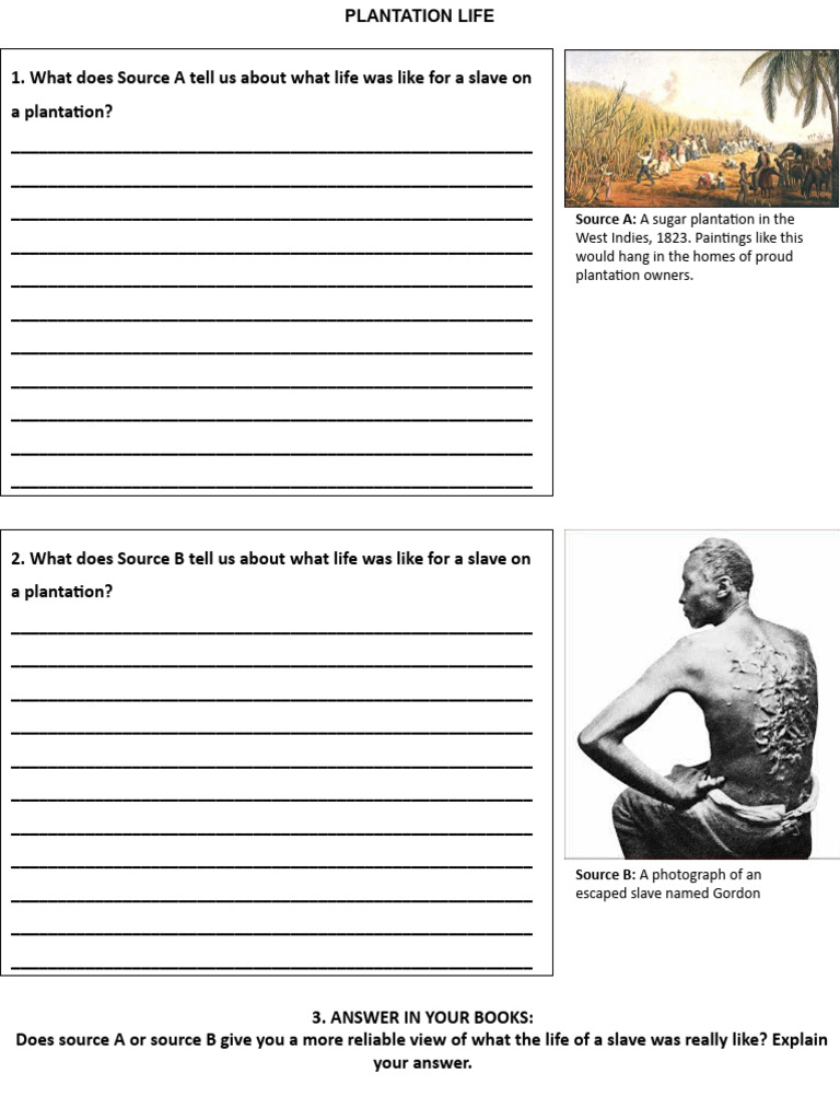 4-5 Plantation Life Sources | PDF