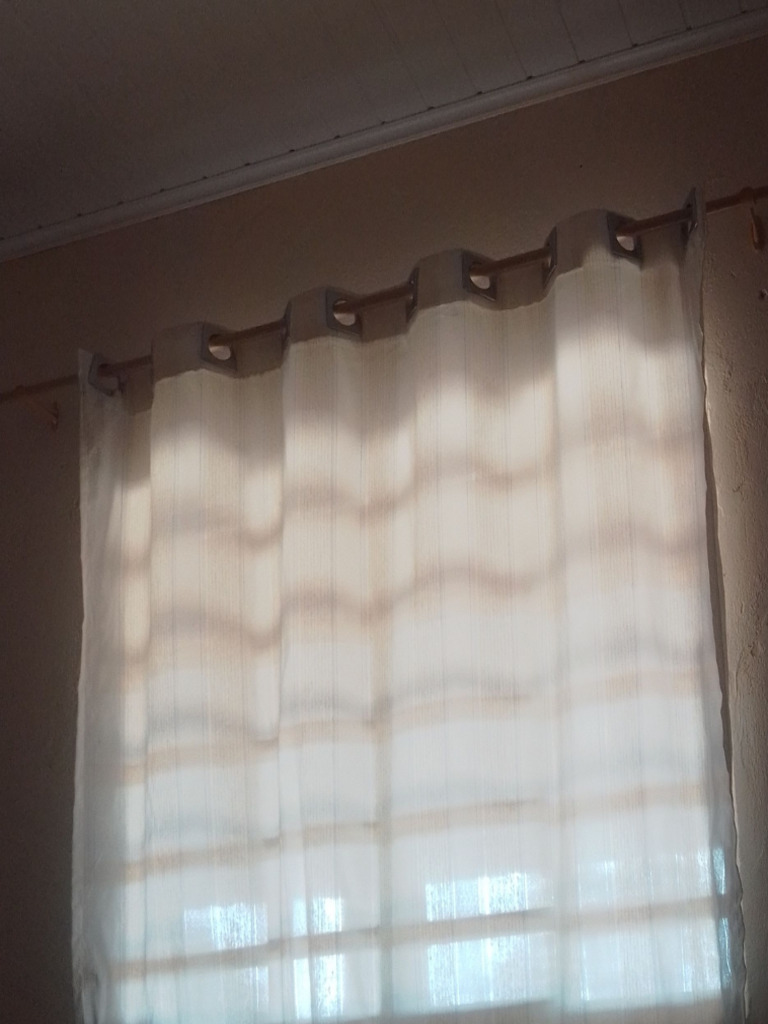 Digitalizado 20240224-1320 | PDF