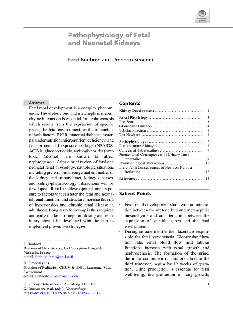 Patof Fetal Neonatal Kidney | PDF | Kidney | Creatinine