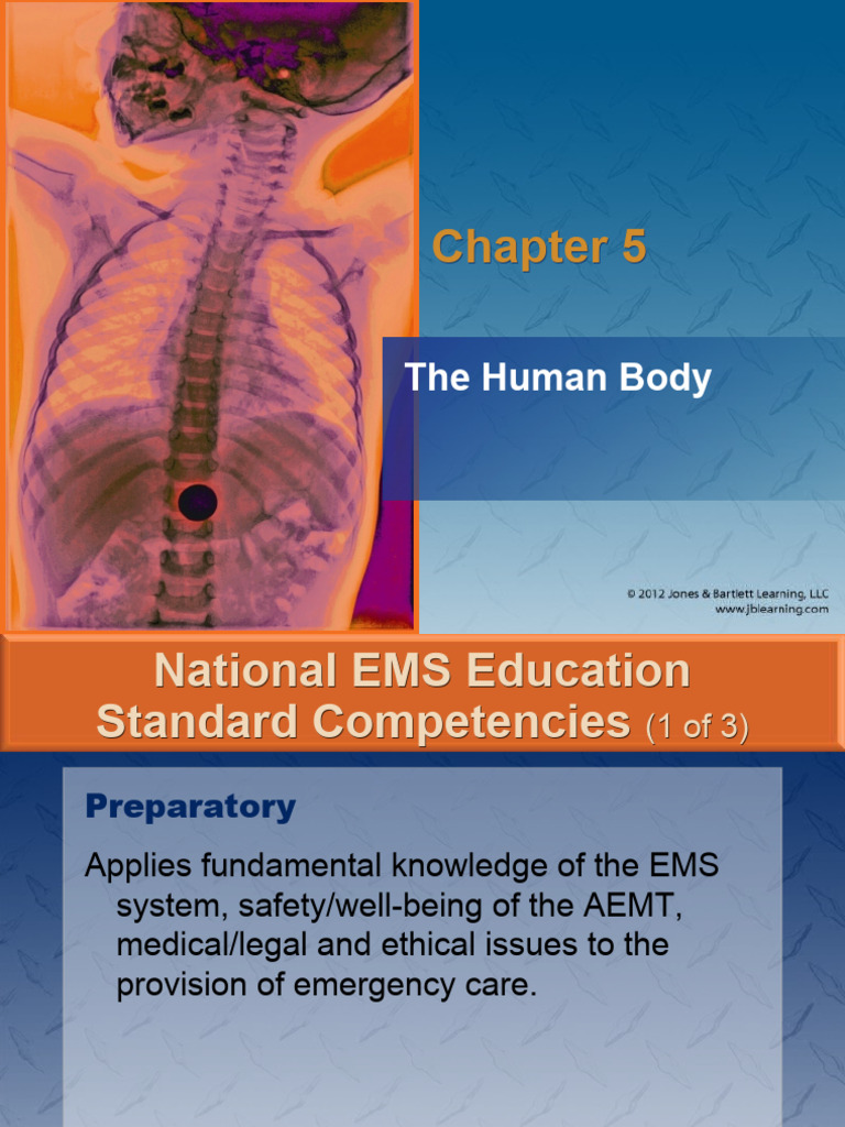 5 The Human Body | PDF