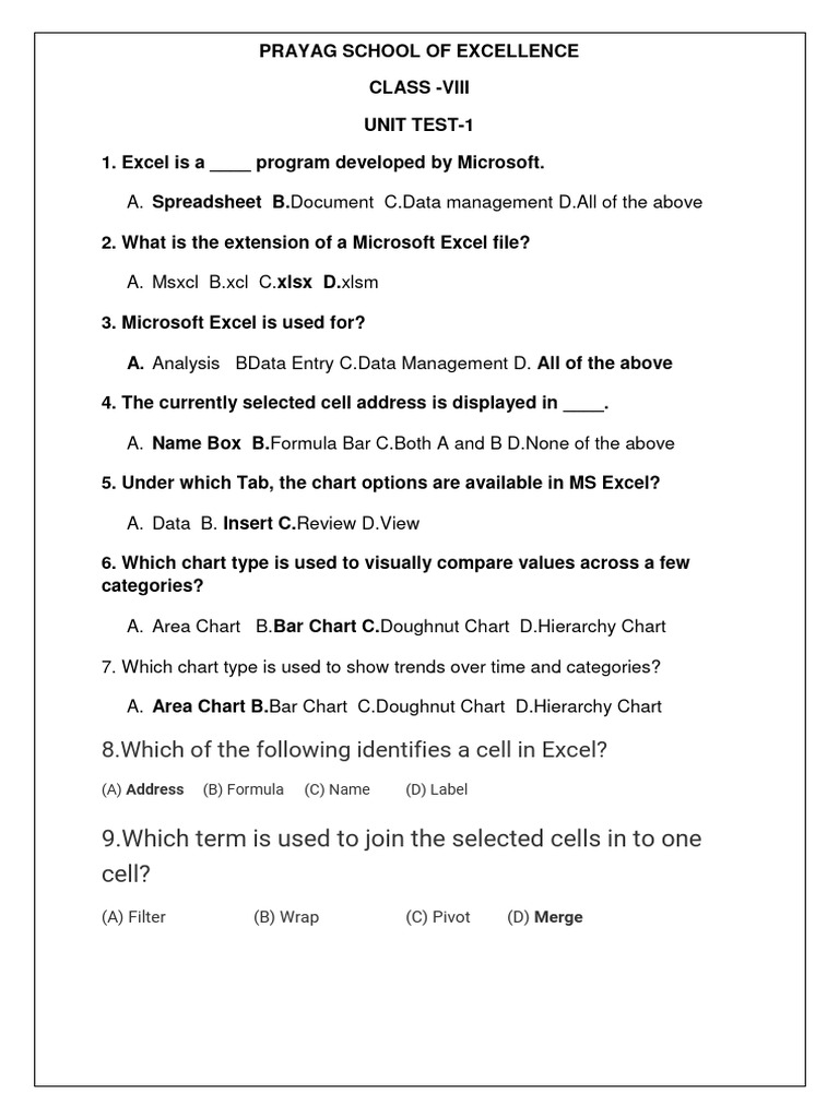 Charts Excel Class 8 | PDF