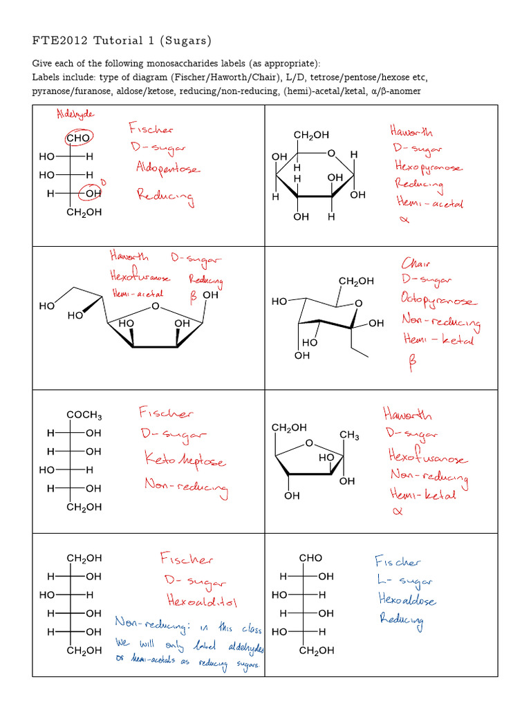 Tutorial 1 - Sugars Answers | PDF