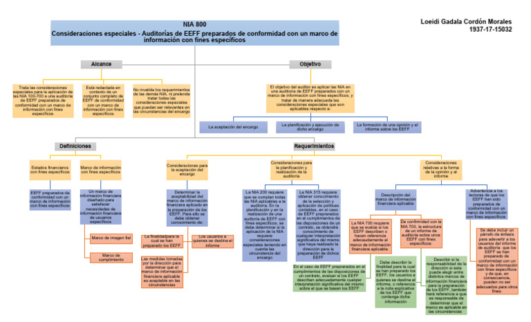 Nia 800 | PDF | Auditoría | Planificación