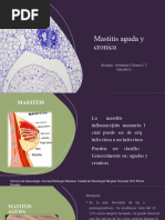 Mastitis Guia de Practica Clinica Patologia Mamaria-1 | PDF | Cáncer de ...