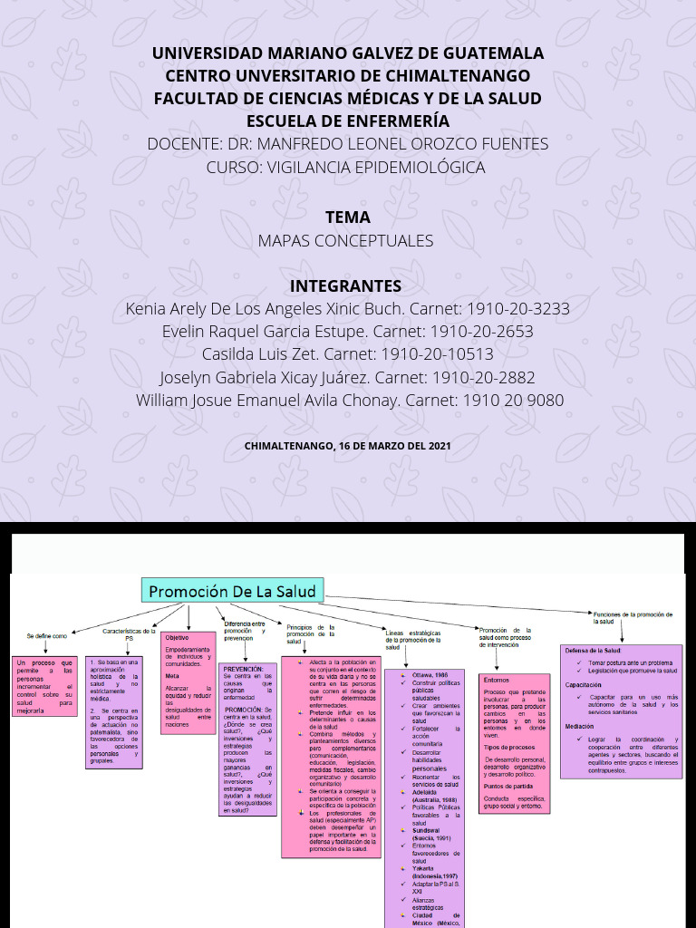 Mapas Conceptuales | PDF