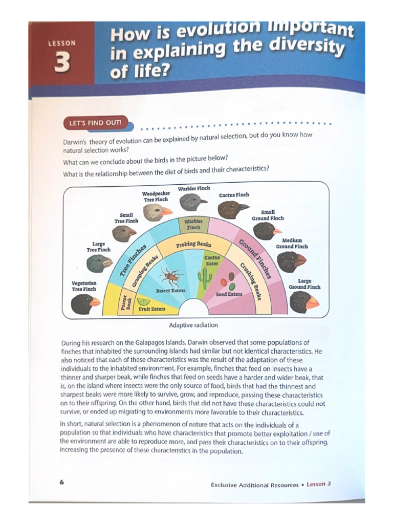 In Explaining The Diversity | PDF
