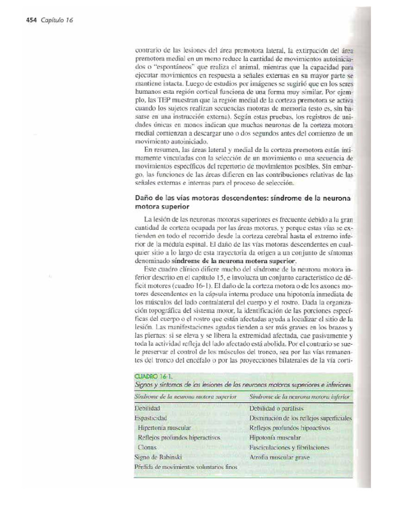 Lesion Motoneurona Parte Dos | PDF