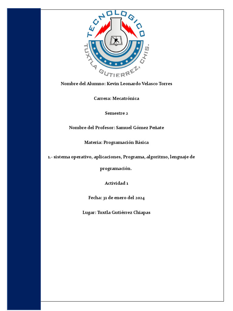 Conceptos Basicos de Programacion | PDF | Algoritmos | Programa de computadora