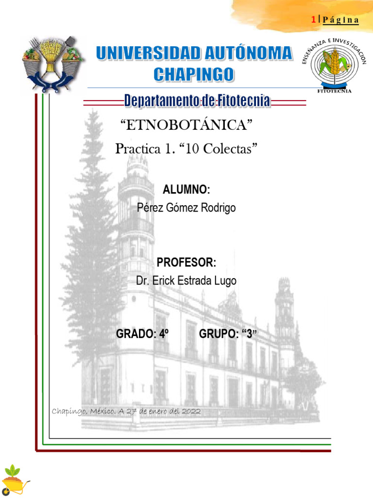 Practica 1. 10 Colectas. Perez Gomez Rodrigo | PDF | Zona tropical | Hacha