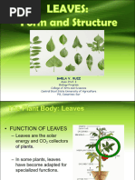 Adaptations of The Leaf For Photosynthesis and Gaseous Exchange | PDF ...