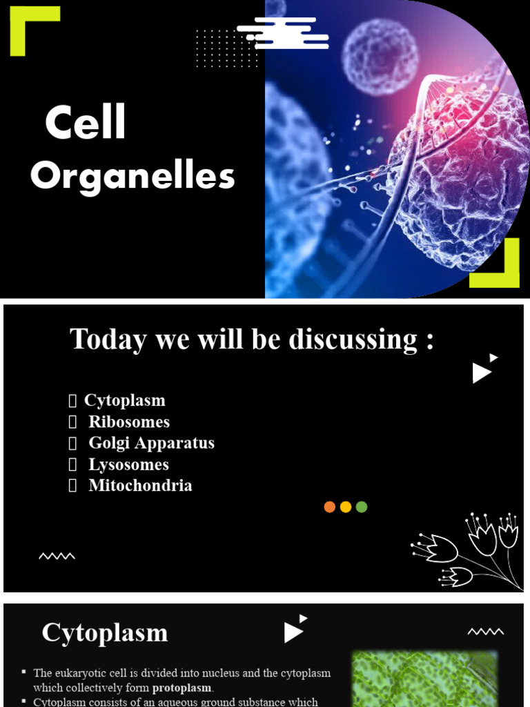 Bio Presentation (Cell Organelles) | PDF