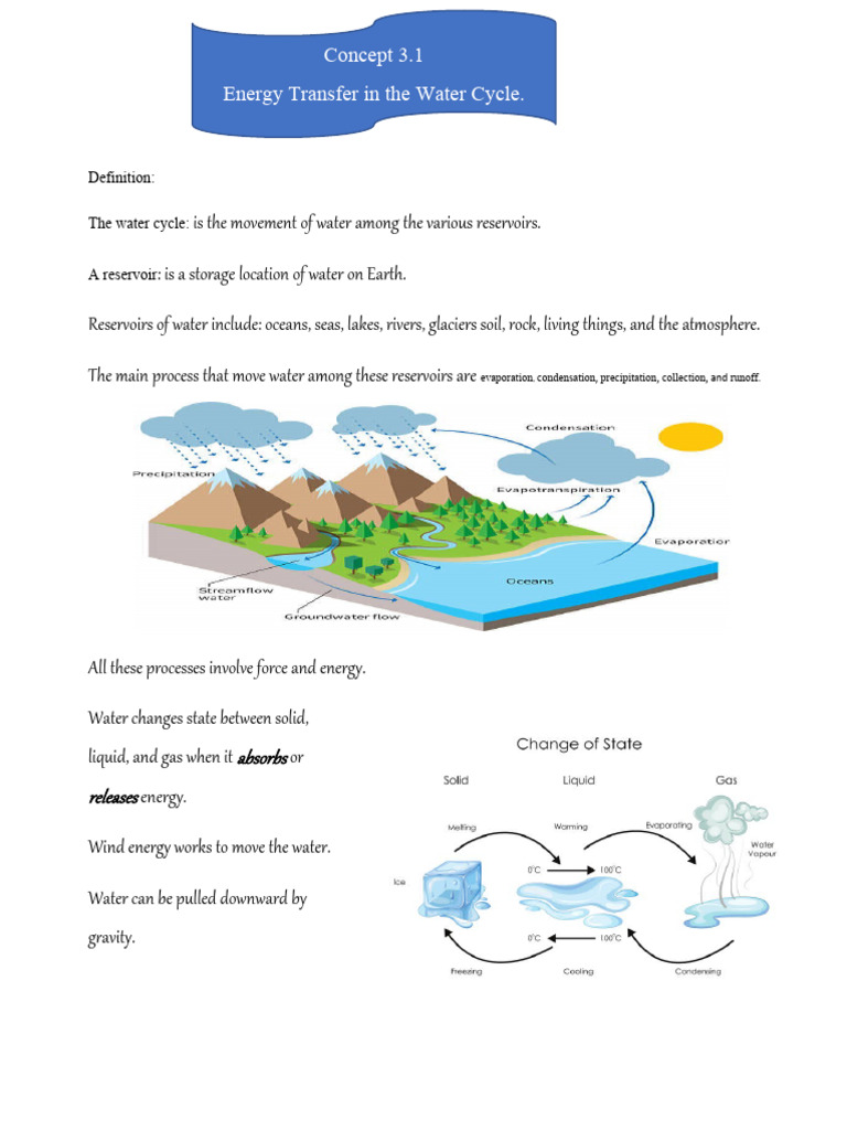 Understanding the Water Cycle Dynamics | PDF