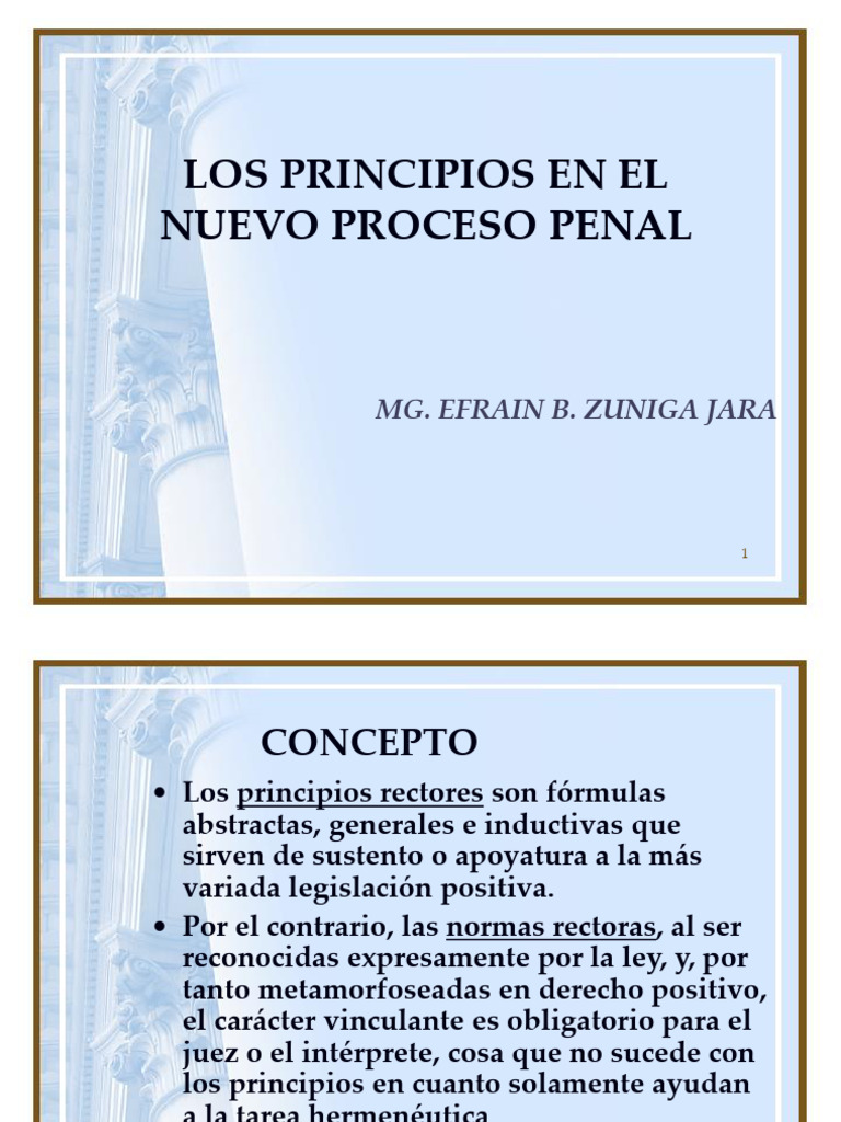 Principios del Nuevo Proceso Penal | PDF | Evidencia (ley ...