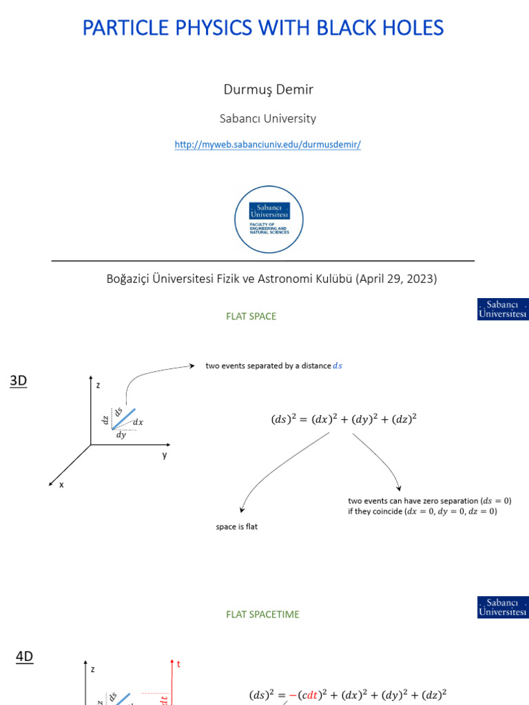 Black Holes and Particle Physics Insights | PDF