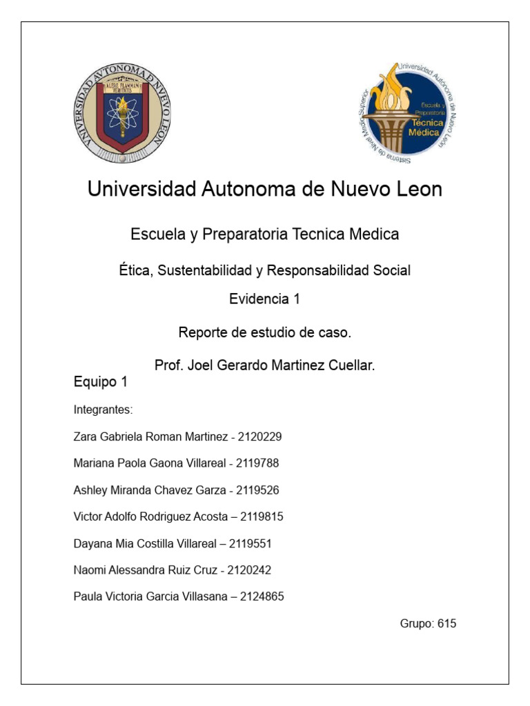 EQUIPO 1 - EV1 - Reporte - ESyRS | PDF