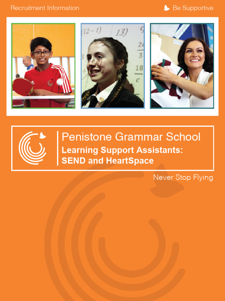 Lsa Send - Application Pack Sept 23 | PDF | Special Education | Employment
