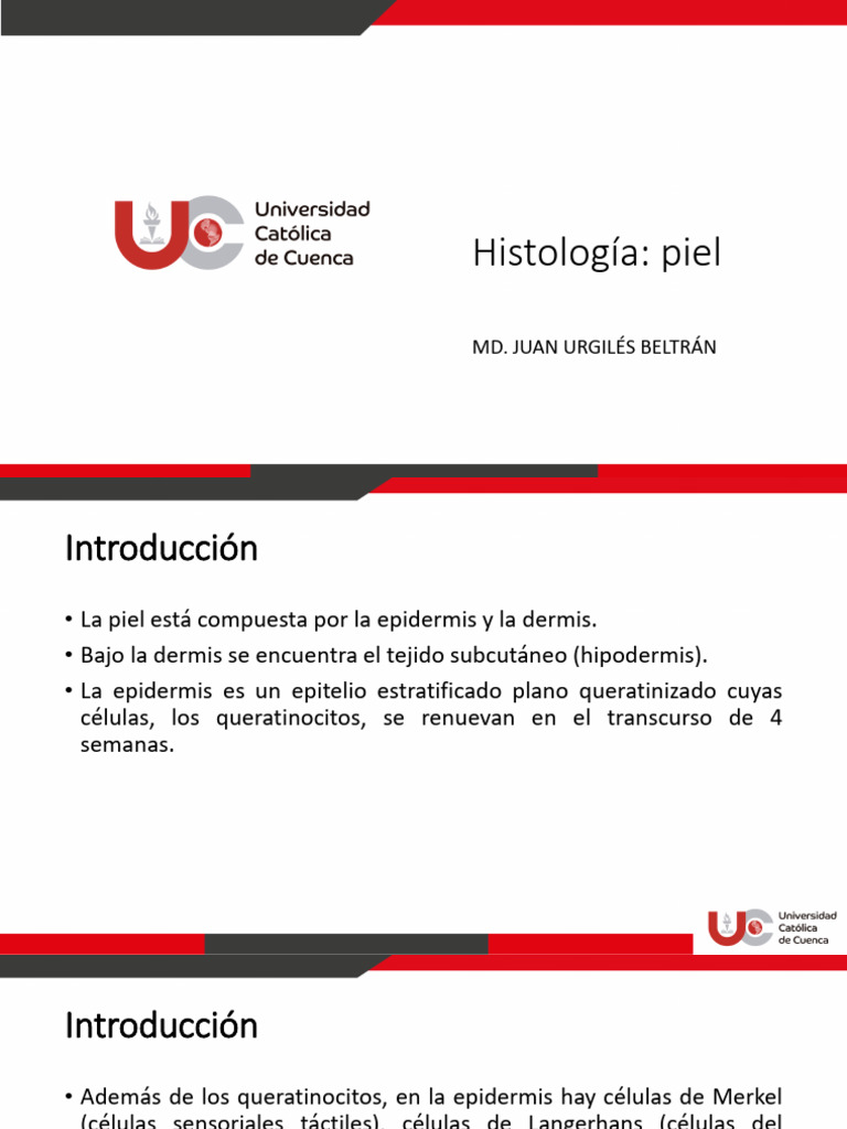 1 Piel Pdf