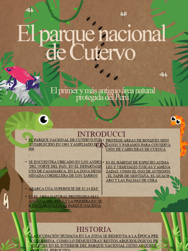 Parque Nacional de Cutervo | PDF