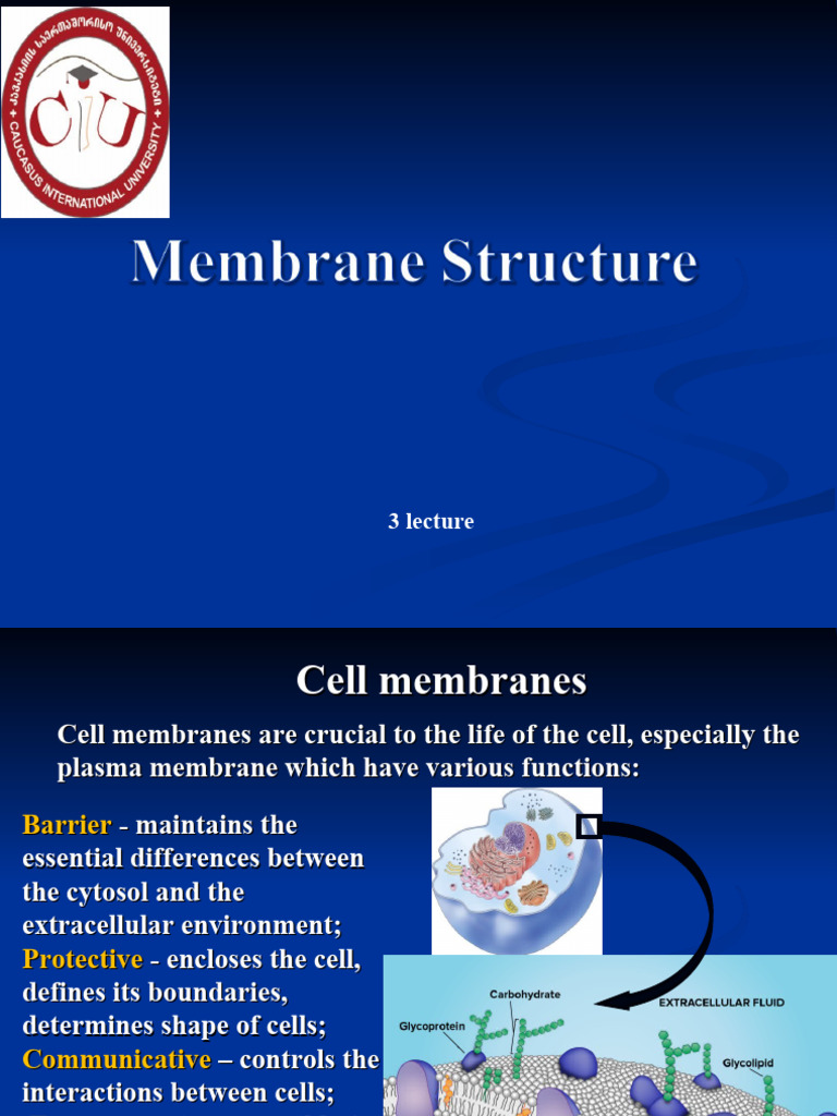 3 b Cytology-membrane Structures (1) | PDF | Cell Membrane | Lipid Bilayer