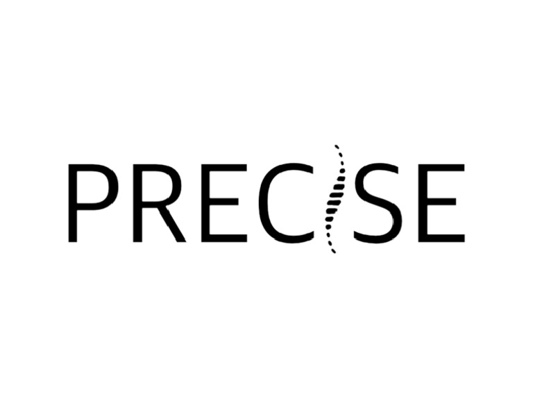 Precise Logo No Back | PDF