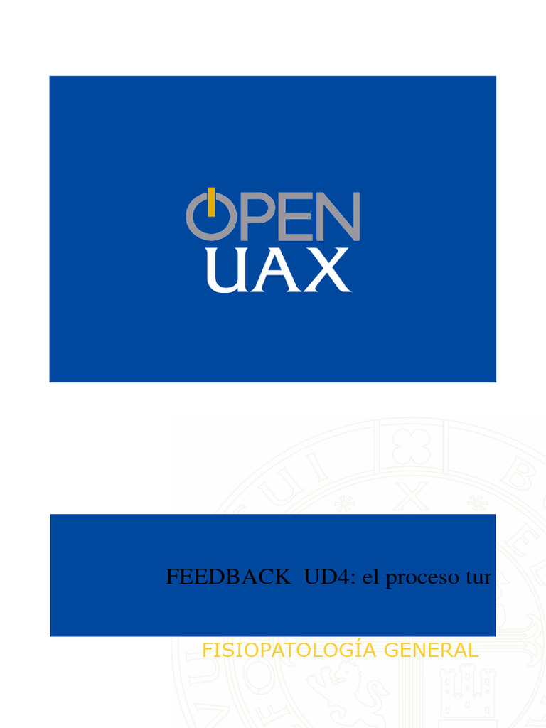 Ejercicio Feedback UD 4 | PDF