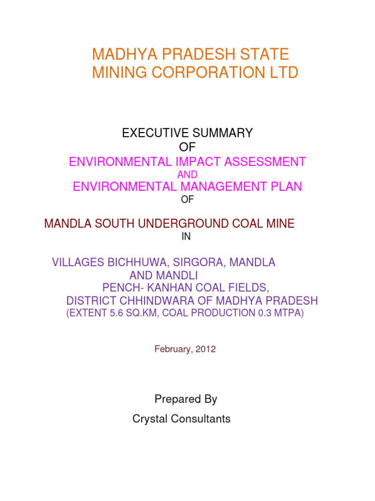 Exe Sum English | PDF | Coal Mining | Mining