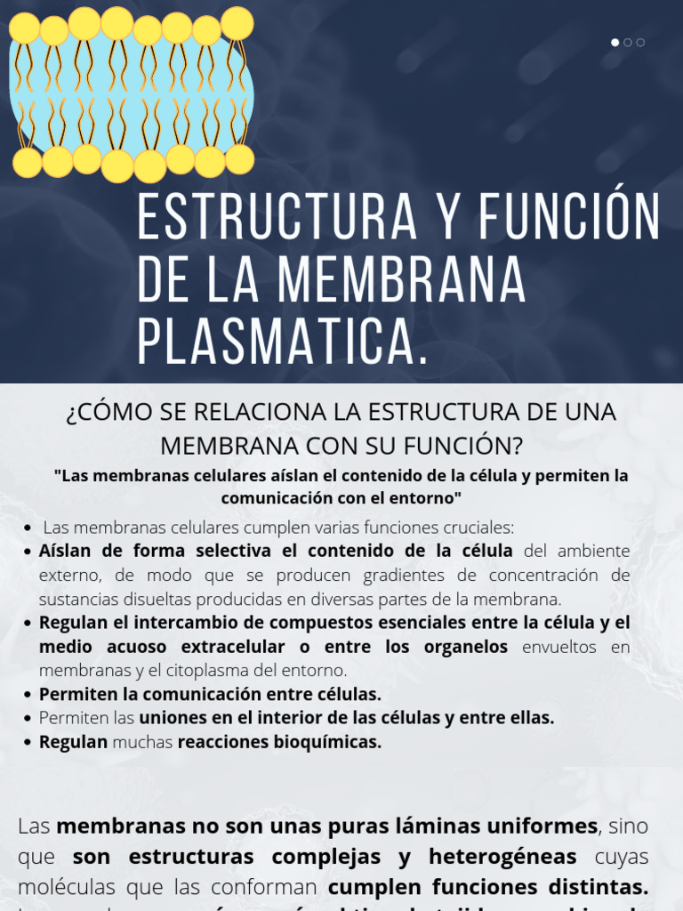 Estructura y Función de La Membrana Plasmatica. | PDF | Membrana celular | Difusión